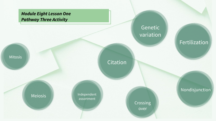 Module Eight Lesson One Pathway Three Activity by serena zheng on Prezi