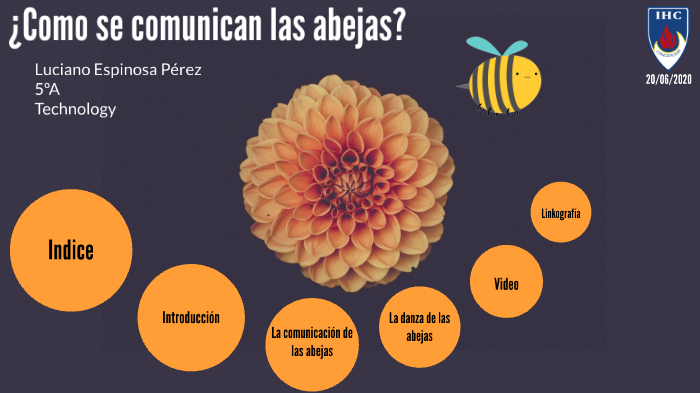 ¿Como se comunican las abejas? by luciano pablo espinosa perez on Prezi