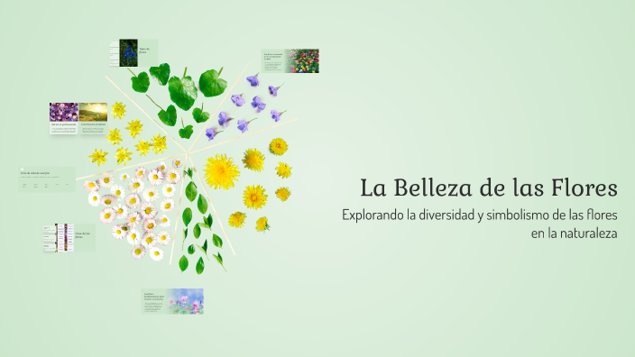 La Belleza de las Flores by Maria Floria Chávez Cedillo on Prezi