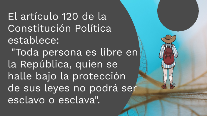 Constitución Política by Carla Wohl on Prezi