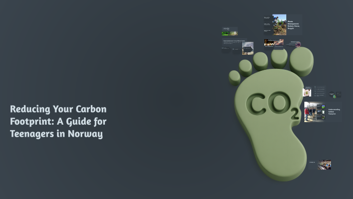 Reducing Your Carbon Footprint: A Guide for Teenagers in Norway by Alex ...