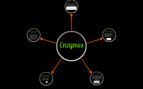Enzymes Poster by Matthew Dahlseng on Prezi
