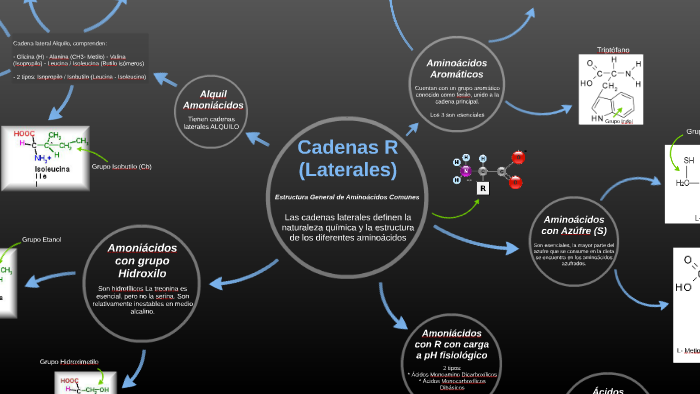 Cadenas R - Laterales by Pablo Gómez González on Prezi