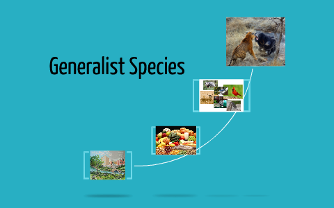 Generalist Species by Leonore Enfield on Prezi