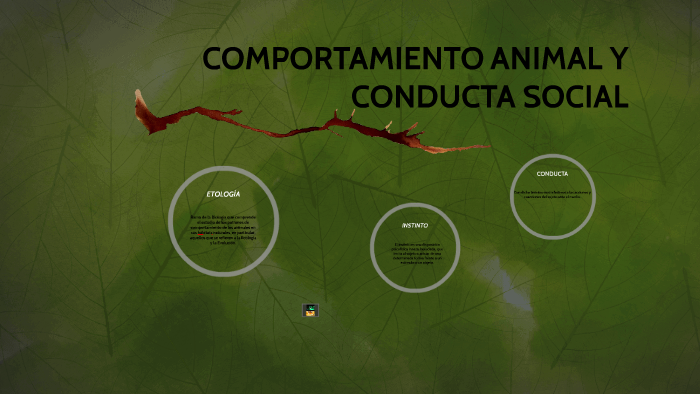 COMPORTAMIENTO ANIMAL Y CONDUCTA SOCIAL by Vanessa Vega on Prezi