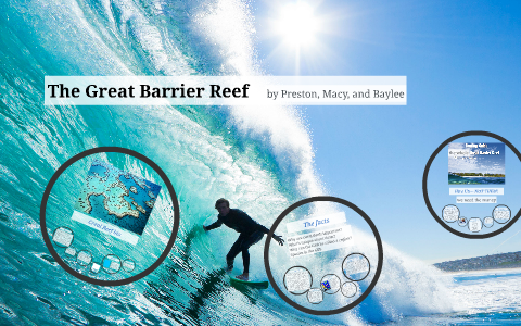 The Great Barrier Reef by Preston Pearson