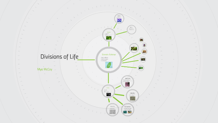 Divisions of Life by Mya McCoy on Prezi