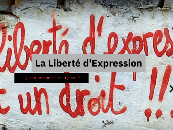 La Liberté d'Expression by Ridouan Benayad on Prezi