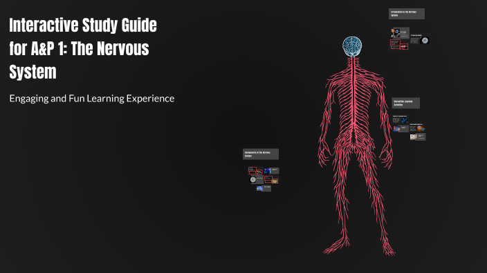 Interactive Study Guide for A&P 1: The Nervous System by Nicholas Daley ...