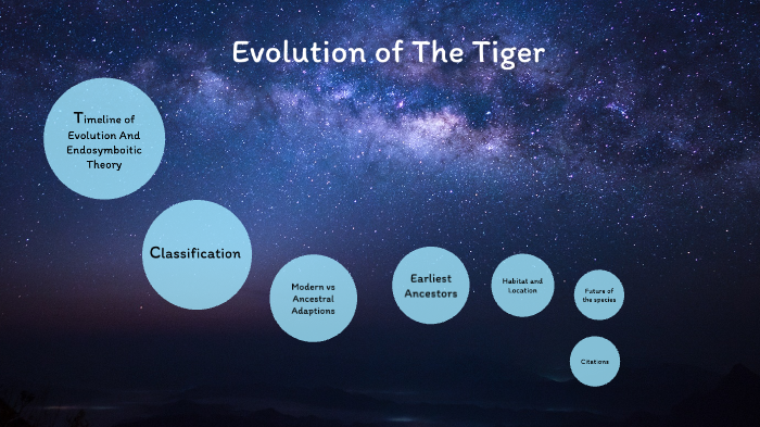 Evolution of The Tiger by Jose VillagomezGonzalez on Prezi
