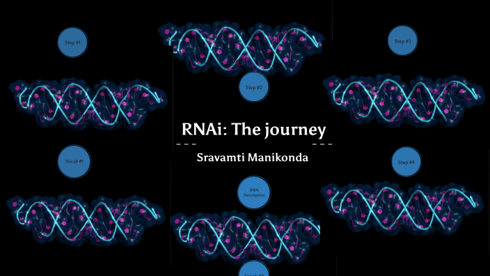 RNAi poster by Sravamti Manikonda on Prezi