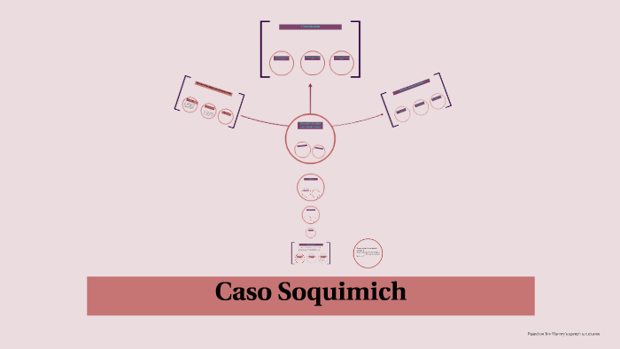 Caso Soquimich by Camy Henriquez on Prezi
