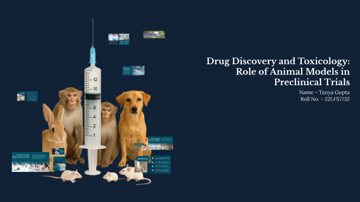 Drug Discovery and Toxicology: Role of Animal Models in Preclinical ...