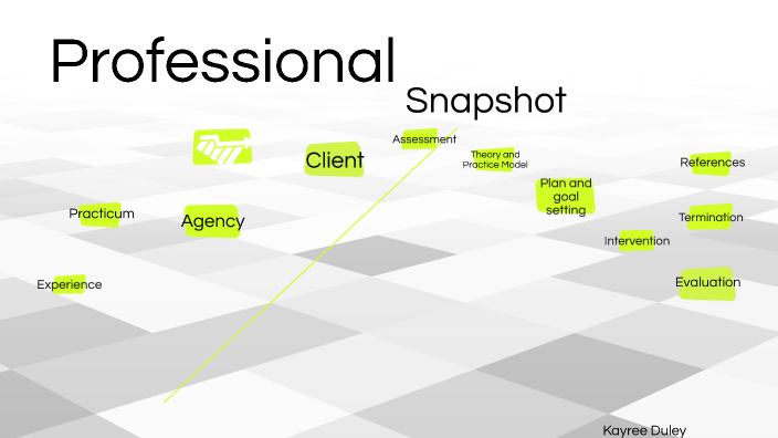 Professional Snapshot by on Prezi