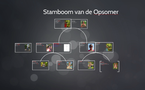 Bernard Opsomer by kian Opsomer on Prezi