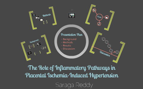 The Role of Inflammatory Pathways in Placental Ischemia-Induced ...