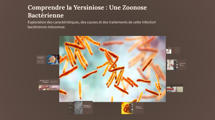 Comprendre la Yersiniose : Une Zoonose Bactérienne by أية بن الطيب on Prezi