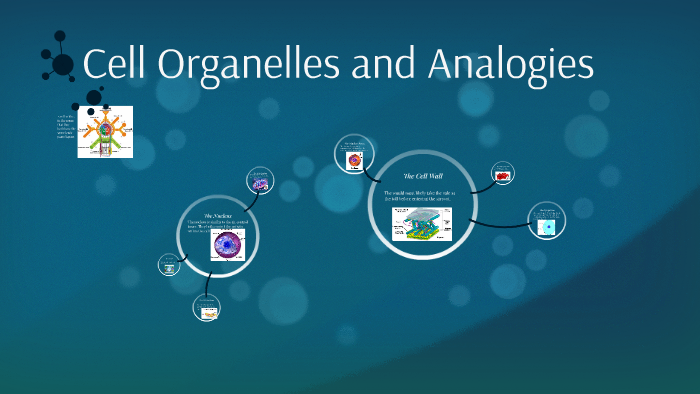 Cell Organelles and Analogies by Ariana rizo on Prezi