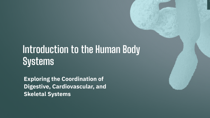 Introduction to the Human Body Systems by Afrah Anis on Prezi