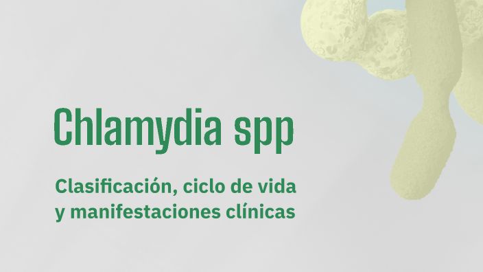 Chlamydia spp by Carmen Lizbeth Zamora Torres on Prezi