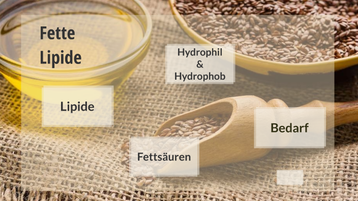 Fette - Lipide by Henry Drösemeyer on Prezi