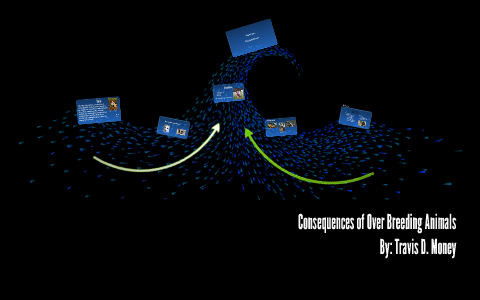 Consequences of Over Breeding Animals by Travis Money on Prezi