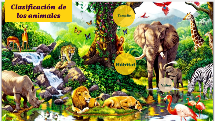 Clasificación de los animales by Lorena Gaytan