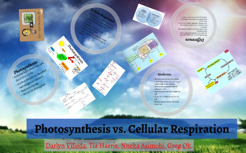 Photosynthesis vs. Chemosynthesis by Darlyn Villeda on Prezi