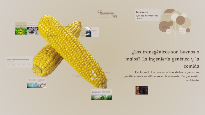 ¿Los transgénicos son buenos o malos? La ingeniería genética y la ...