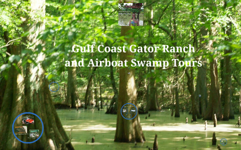 Gulf Coast Gator Ranch by Robin Bloom on Prezi