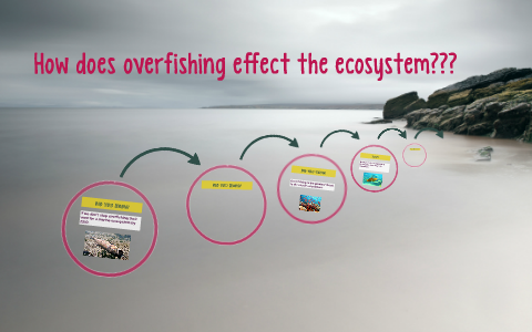 How does overfishing effect the ecosystem??? by joal mackenzie