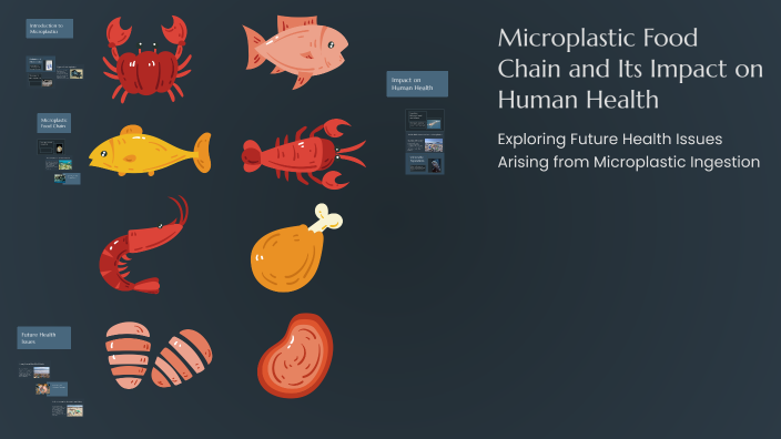 Microplastic Food Chain and Its Impact on Human Health by Shiv Verma on ...