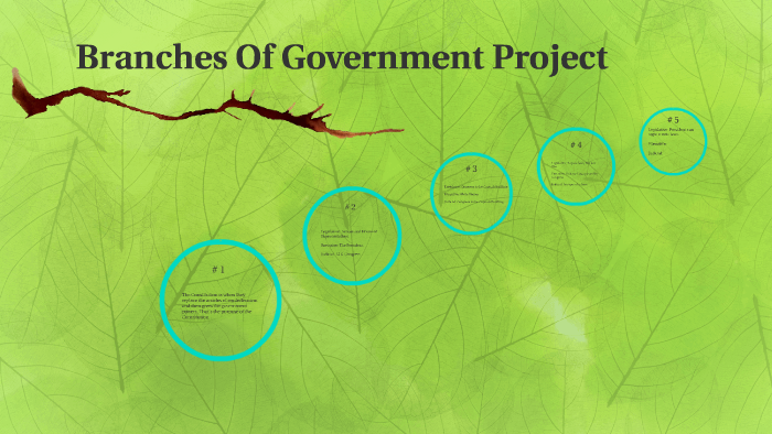 Branches Of Government Project by Destiny Cyr on Prezi