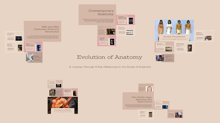 Evolution of Anatomy by Victor Osorio on Prezi