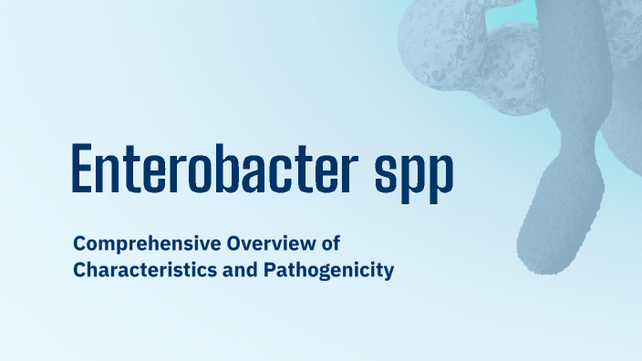 Enterobacter spp by Mohamad DIAB on Prezi