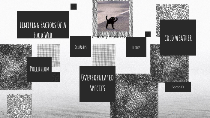 Limiting Factors by Sarah Dignam on Prezi