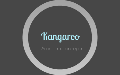Kangaroo Information Report by Spencer McAllon on Prezi