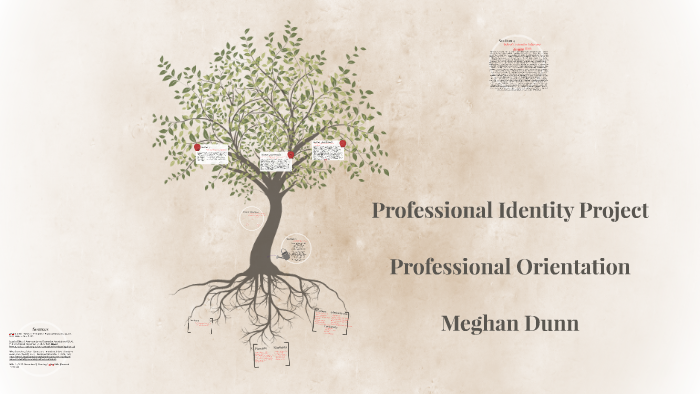 Professional Identity Project by Meghan Davis on Prezi