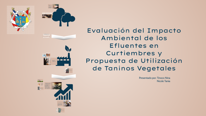 Evaluación del Impacto Ambiental de los Efluentes en Curtiembres y ...
