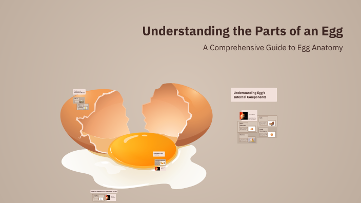 Understanding the Parts of an Egg by cloey gilham on Prezi