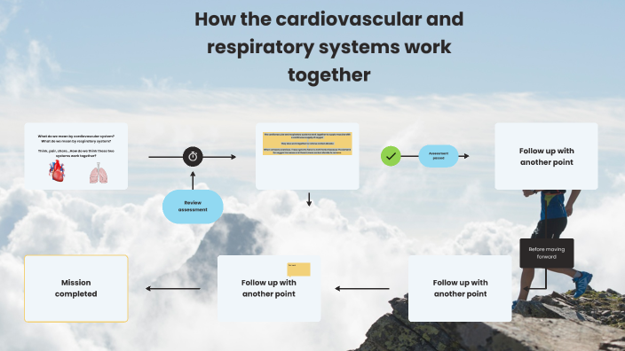 How the cardiovascular system and respiratory systems work together by ...