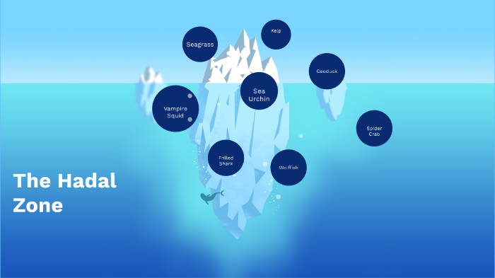 Hadal Zone Food Web by Damar Gordon on Prezi