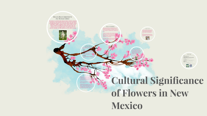 Cultural Significance of Flowers in New Mexico by Leah Rector on Prezi
