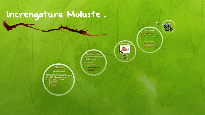 Increngatura la Moluste by alina mustovici on Prezi