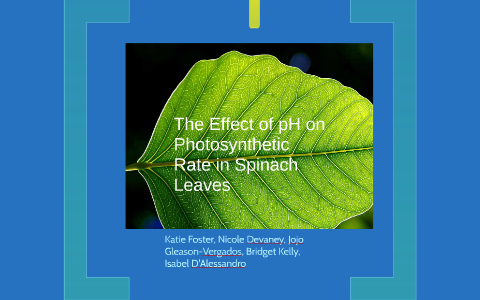 The Effect of pH on Photosynthetic Rate by Isabel D'Alessandro on Prezi