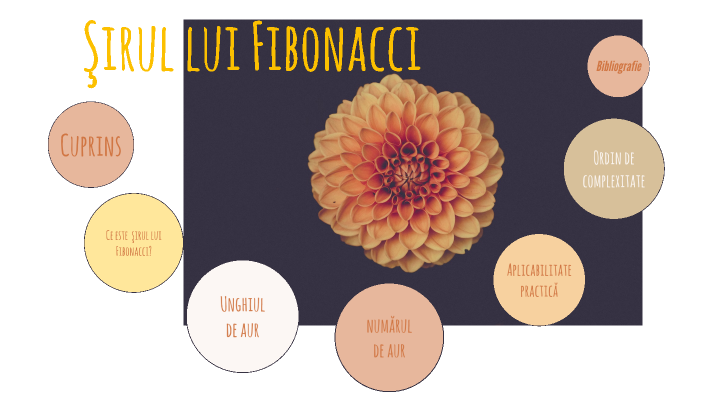 Șirul lui Fibonacci. Numărul de aur. by Ana Maria Antoci on Prezi