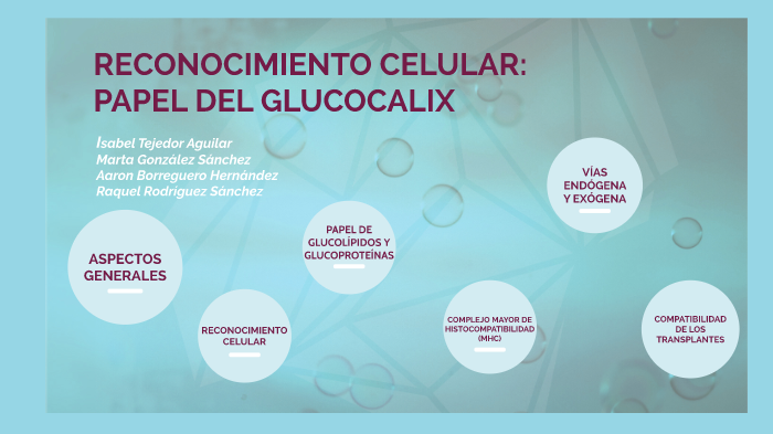 Glicocalix by Raquel Rodríguez Sánchez on Prezi