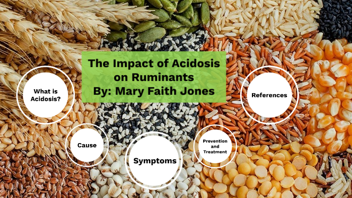 The Impact of Acidosis on Ruminants by Mary Faith Jones on Prezi
