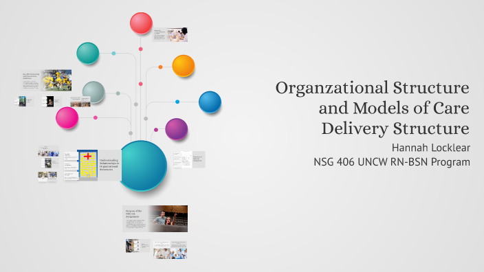 Exploring Organizational Structure and Models of Care Delivery in ...