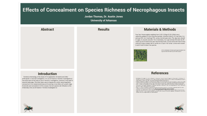 Effects of Concealment on Species Richness of Necrophagous Insects by ...